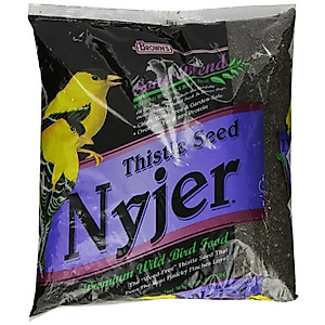F.M. Brown'S Song Blend Nyjer Thistle Seed For Pets, 5-Pound