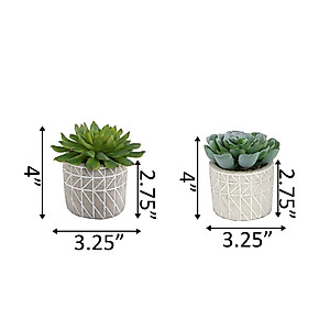Flora Bunda Mid Century Artificial Plants Cactus Set of 2 Fake Succulent in 3" Cement Diamond line Pot Grey Planter, Potted Plants, for Home Office Decorations