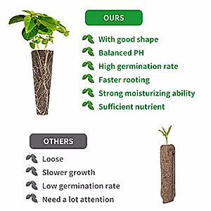 Alphatool 100 Pack Plant Seed Starters Sponges Compatible Seed Grow Pod Replacements Root Growth Sponges Gardening Accessories Fits AeroGarden Hydroponic Garden System Seed Starting