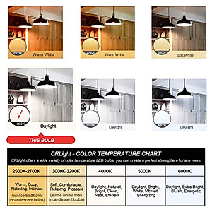 CRLight 2W LED Edison Bulb 4000K Daylight White, 30W Equivalent 300 LM, E26 Vintage Tubular T45 / T14 Clear Glass Dimmable LED Light Bulbs, 8 Pack