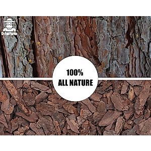 Orchid Bark for Plants Organic Pine Bark for Proper Root Development for Phalaenopsis Cattleyas Dendrobiums Oncidiums Paphiopedilums and More (1qt Medium(12-18mm))