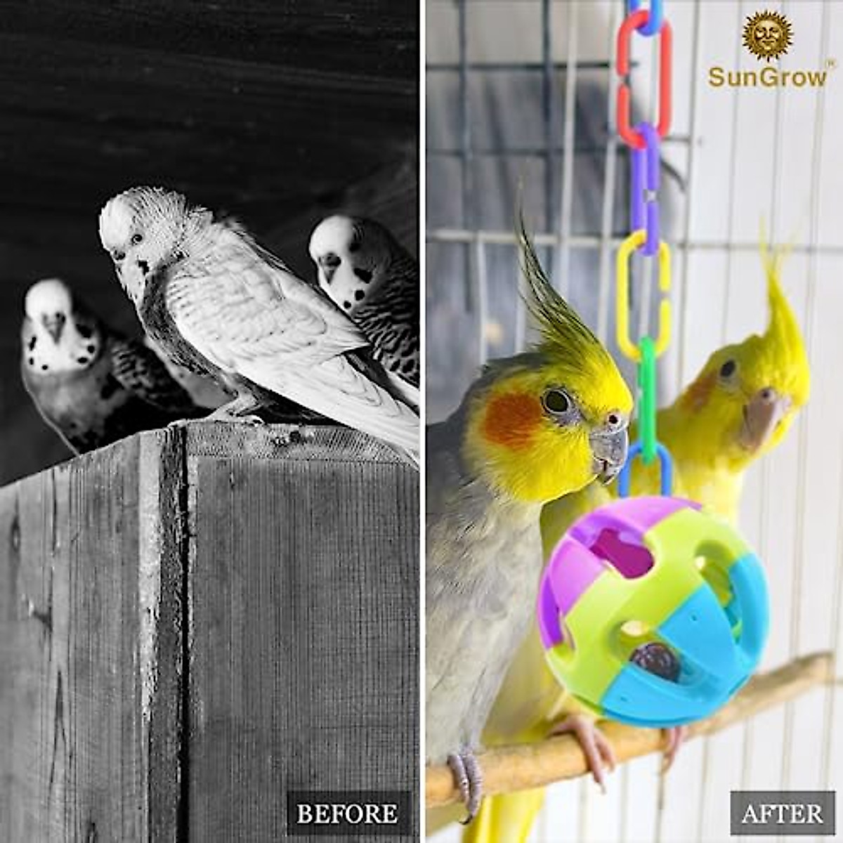 SunGrow 100 Pcs Rainbow C-Clips Plastic Chain Links, Bird Swing & Climbing Chain Cage Toy Clips & Hooks, DIY Kids Learning Toys for Classroom, Suitable for Sugar Glider, Rat, Parrot, Bird