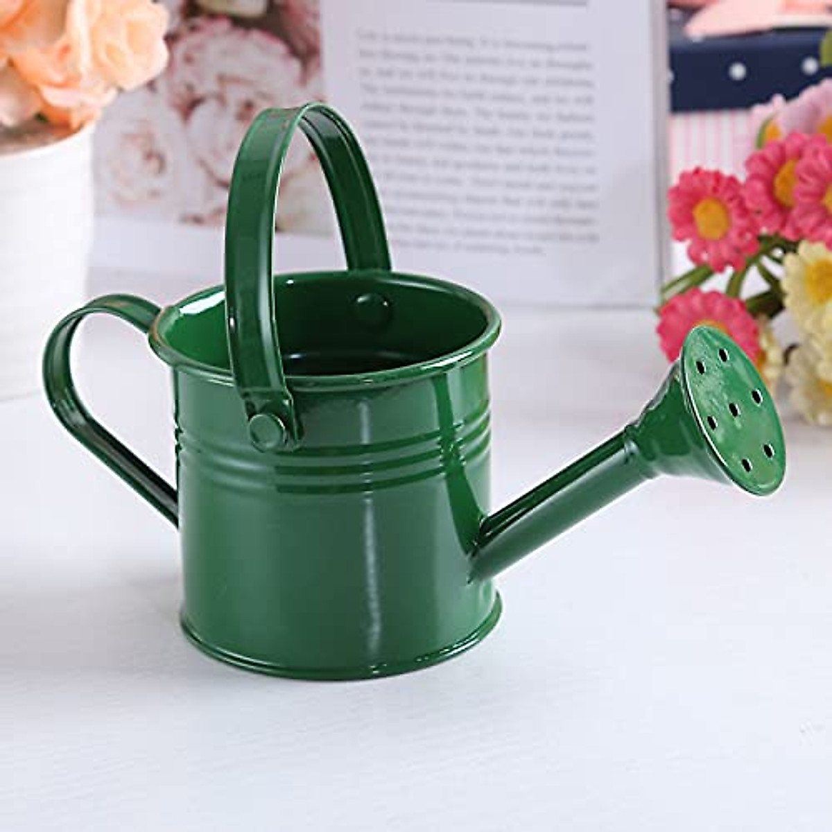 SMLJFO Watering Can for Indoor Outdoor Plants, Modern Style Watering Pot with Handle Sprinkler Head Iron House Garden Flower Long Spout Shower Pink 5.1in
