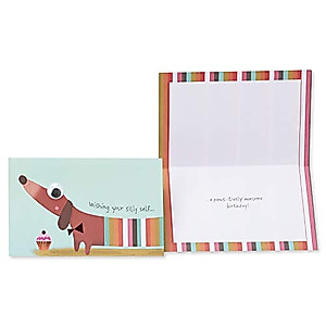 American Greetings Premium Birthday Cards, Kid-Friendly Designs (8-Count)