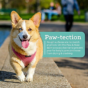 VetPro Complete Dog Paw Balm for All Dogs and Cats - Natural Protection and Paw Soother for Dry Pads and Noses - Vet Formulated Paw Butter and Dog Foot Cream - Dog Nose Balm and Dog Feet Protection