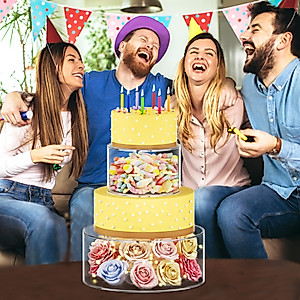 2 PCS Clear Acrylic Cake Stand, FEMELI Fillable Cake Box Case Tier Holder, Cylinder Round Cake Riser Display Box with Lid, Centerpiece Cake Base with Lights for Birthday Wedding Party Decor(10*4, 6*4)