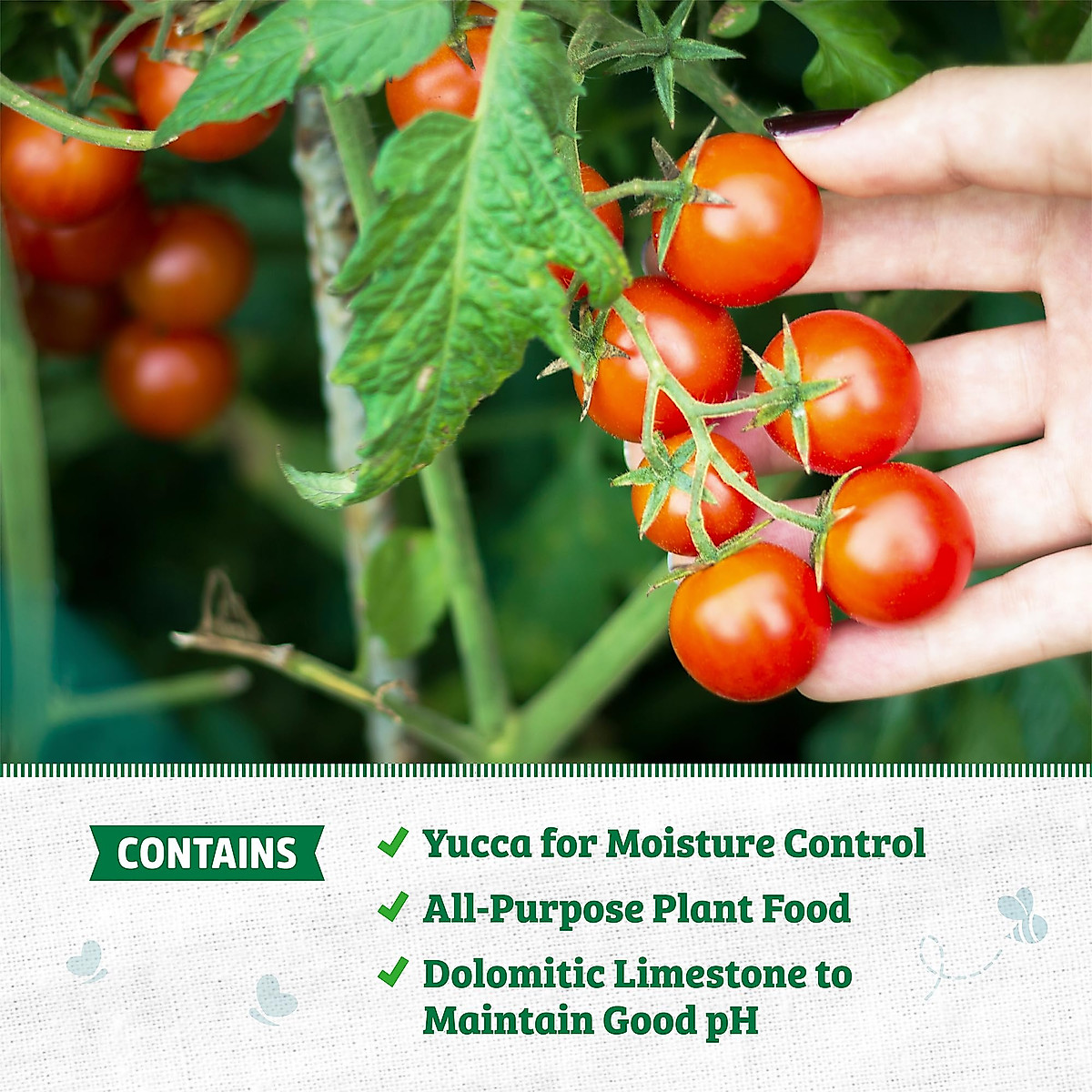 Back to the Roots 100% Organic Potting Mix (6 Quart) | Premium Blend | Made in The USA