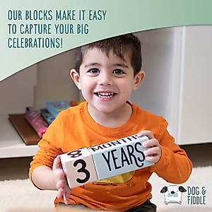 Dog & Fiddle Baby Milestone Blocks & Baby Shower Gifts. Baby Girl Baby Month Milestone Baby Girl Shower Gift Milestone Blocks for Baby boy Baby Age Milestone Blocks Baby Months Photo Prop