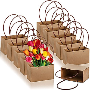 DEAYOU 10-Pack Kraft Paper Flower Gift Bags, Brown Bouquet Bags Box with Handle, Small Brown Paper Carrier Tote Bags with Waterproof Lining for Floral Arrangements, Party Favor, Ultra Thick