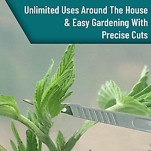 MedHelp - Disposable Scalpel 10 and 11, Pack of 20 Dermaplaning Blades w. Plastic Handle, Surgical Knife Scalpel, Dermablade Surgical Blades Individually Wrapped 10x10 Blade and 1x11 Blade, Sterile