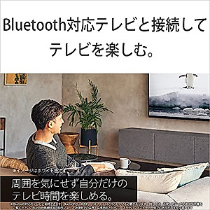 Sony SRS-NB10 Wireless Neckband Speaker Waterproof IPX4, Hands-Free Calling, Microphone On Off Button, Multi-Point Connection / 2021 Mode (White)