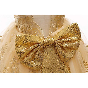 Baby Princess Girls Embroidery Dresses Toddler Lace Ruffles New Year Easter Tutu Dress with Headwear 12M 18M (Golden,80)