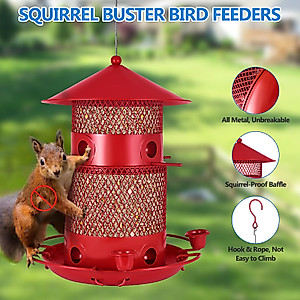 Metal Bird Feeders for Outside, Squirrel Proof Hanging Wild Bird Feeder, 4 Lbs Large Seed Capacity, Outdoors Mesh Tube Birdfeeders with 6 Perches