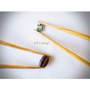 MDBT42V-512KV2 Nordic nRF52832 Small Size Module Chip Antenna Bluetooth Module BLE BT5.2 BT5.0 BT4.2 FCC IC CE Telec KC RCM SRRC