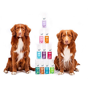 Hownd Got an Itch? Ultra Conditioning & Soothing Anti-Itch Shampoo for Dogs w/Dry, Flaky Skin, with Rose, Bergamot & Aloe Vera, Restores Dry Coats - Vegan Formula, Cruelty Free