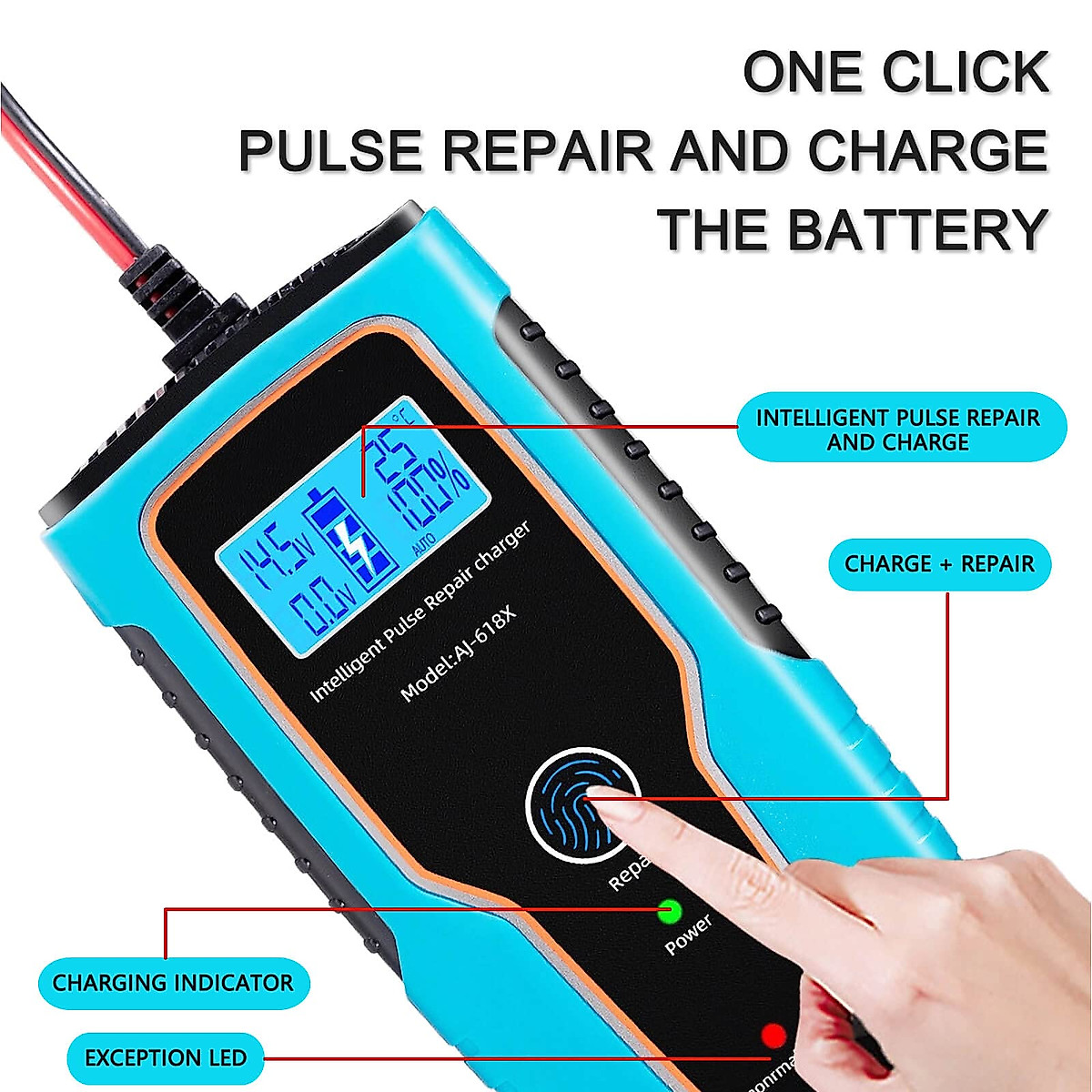 VERSAINSECT rger Fully-Automatic Smart 6-Amp 12V and 24V, Battery Maintainer Trickle Charger, and Battery Desulfator with Temperature Compensation