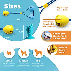 Double Suction Cup Dog Toys Set For Aggressive Chewers 100% Rubber (3 In 1), Teeth Cleaning Toothbrush Toy Stops Plaque & Tarter, Cherry Blossom Waste Bag Dispenser Bonus, Tug Of War Toy For Dog's IQ