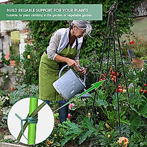 Wellsign 2Pack 63.84 inch Garden Obelisk Trellis for Climbing Plants Outdoor and Indoor, Trellis for Potted Plants Rustproof Coated Metal Support with 100 Ties and 10 Butterflies for Tomato Ivy Vines