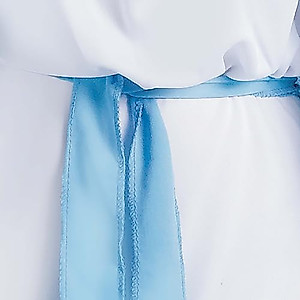 Fun World Adult Mary Costume