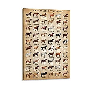 Horse Knowledge Horse Breeds of The World Poster Framed 12x16inch
