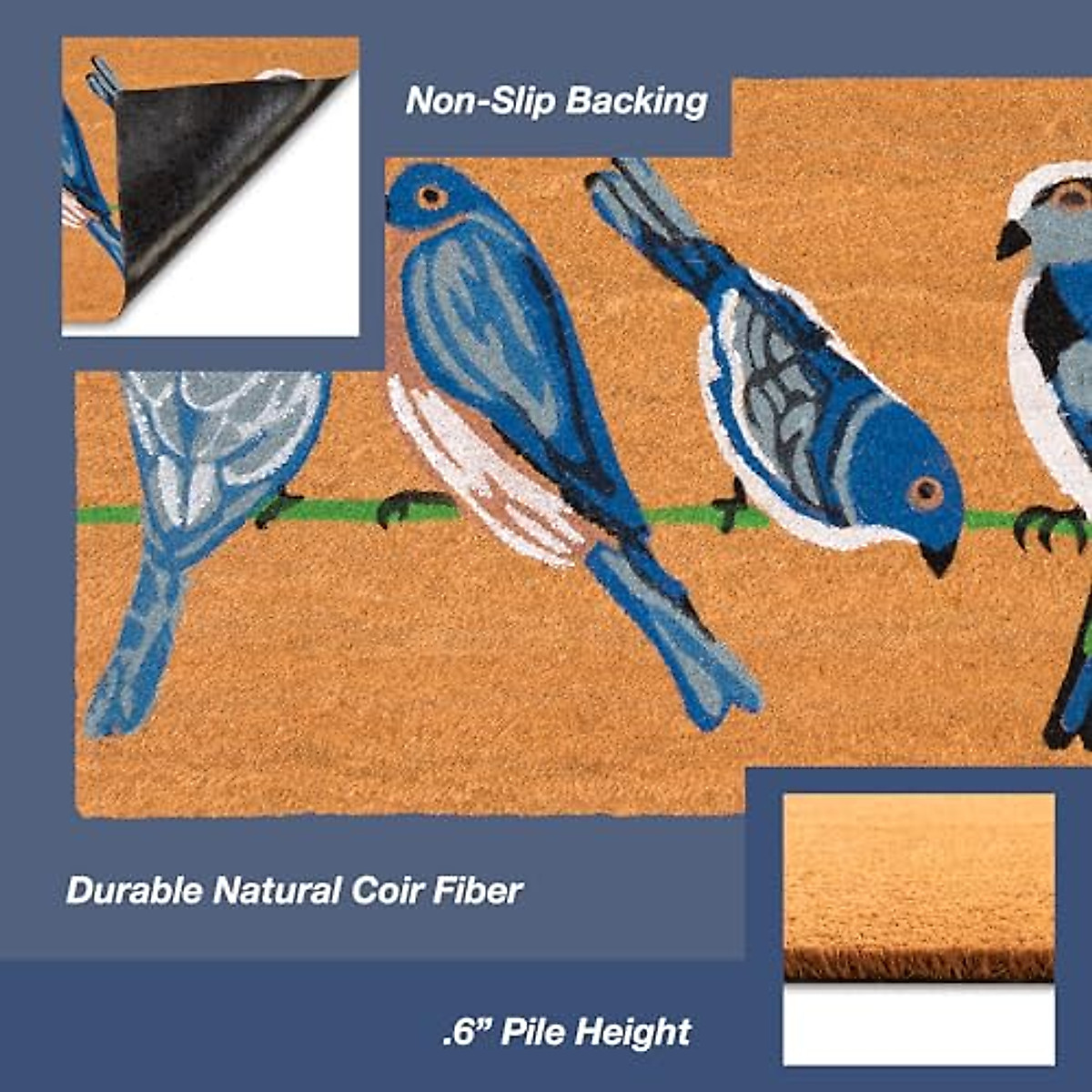 Liora Manne Natura Doormat Non-Slip Natural Fiber Outdoor Mat-Animal, Blue Birds Natural 2' x 3'