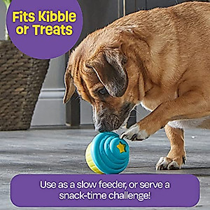 Brightkins Small Cupcake Treat Dispenser for Dogs - Interactive Dog Toys, Dog Birthday Toy for All Breeds