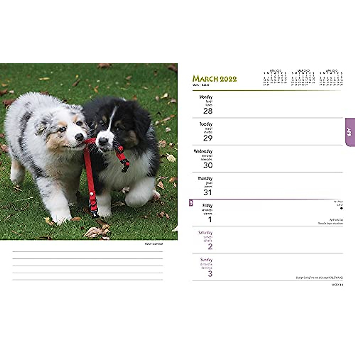 I Love Puppies 2022 6 x 7.75 Inch Spiral-Bound Wire-O Weekly Engagement Planner Calendar | New Full-Color Image Every Week | Animals Dog Breeds Puppy