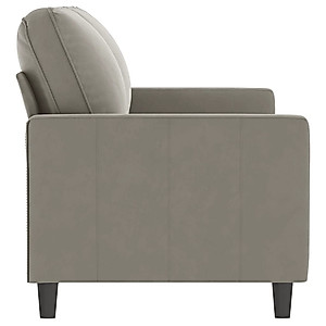 vidaXL Stylish 2-Seater Sofa in Light Gray - Comfortable Velvet Upholstery with Durable Metal and Plywood Frame - 55.1" Seat Width