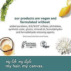 Alterna My Hair My Canvas Meltaway No-Rinse Micellar Cleanser 3.4 Fl Oz | Vegan | Fast Drying Creme-to-Powder Cleanser, Absorbs Oil & Sweat for Shower Clean Hair | Peta Tested, 3.4 fl. oz.
