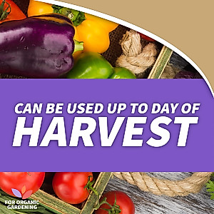 Bonide Captain Jack's Neem Oil, 32 oz Ready-to-Use Spray, Multi-Purpose Fungicide, Insecticide and Miticide for Organic Gardening