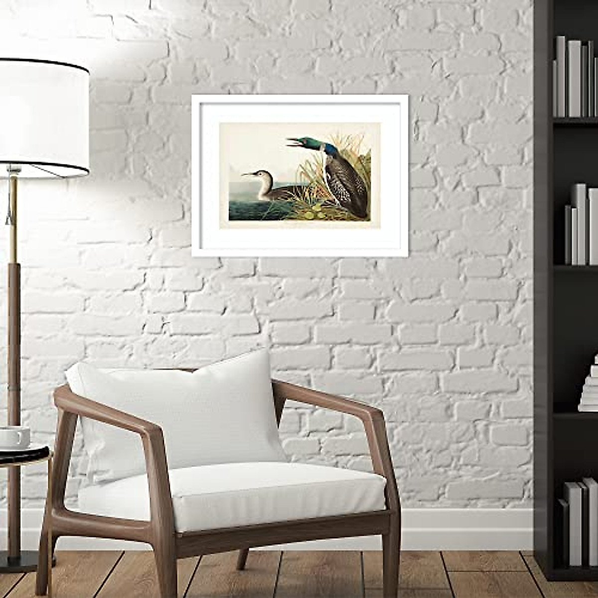 Amanti Art Framed Wall Art Print 16x21 Pl 306 Great Northern Diver or Loon by John James Audubon, Animals Wall Art, Museum Masters Classics Decor, Small Poster Painting Artwork for Living Room,