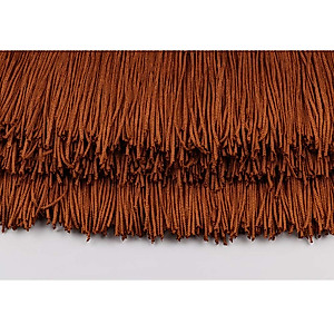 Heartwish268 Fringe Trim Lace Polyerter Fibre Tassel 12inch（″） Wide 10 Yards Long for Clothes Accessories and Latin Wedding Dress and DIY Lamp Shade Decoration Black Brown Coffee