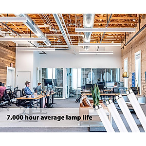 DYSMIO F32T8 32-Watt 48-inch Tube Light Bulb, 6500K, 2850 Lumen, Daylight, G13 Medium Bi-Pin Base T8 Fluorescent Light Bulb - Pack of 4