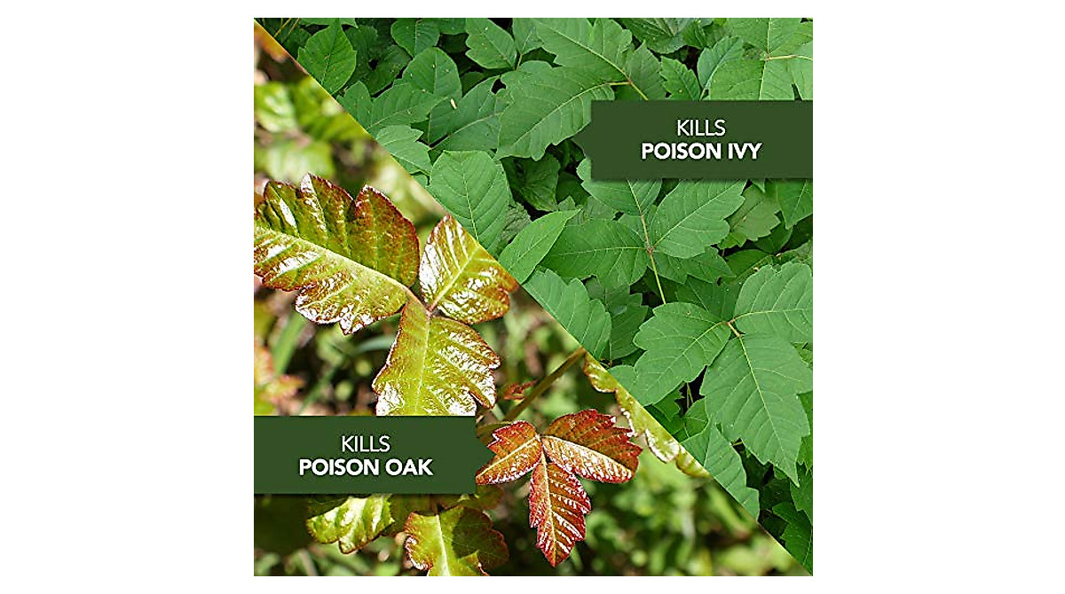 BioAdvanced Brush Killer Plus - Kill Tough Weeds & Poison Ivy