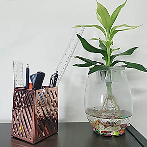 Gutyble 50Pack 12Inch Clear Plastic Ruler, for School,Office and Home