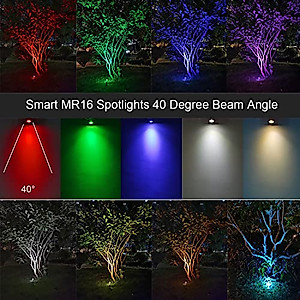 BEAMLUX Smart WiFi MR16 Color Changing led Bulbs RGBCW, Dimmable with App Control, 40° Beam Angle AC/DC 12V GU5.3 Base, Compatible with Alexa and Google Home Assistant, No Hub Required (2PACK)