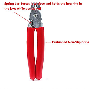 Straight Hog Ring Pliers Set & 200pcs Galvanized Hog Rings – Upholstery Installation Kit for Bungee/Shock Cords/Animal Pet Cages/Bagging/Traps/Sausage Casing/Meat bags/Fencing/Railing by NIDAYE