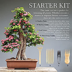 BambooMN Bonsai Tree Pruning Trimming Starter Tool Kit - Leaf Trimmers, and Bamboo Rake - 1 Set