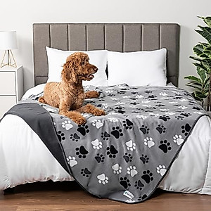 PetAmi Waterproof Dog Blanket for Extra Large Pets Dogs Cats, Large Pet Couch Cover Protector for Furniture, Reversible Washable Soft Fleece Cat Blanket for Bed Couch Sofa, 60x80 (Paw Print Gray)