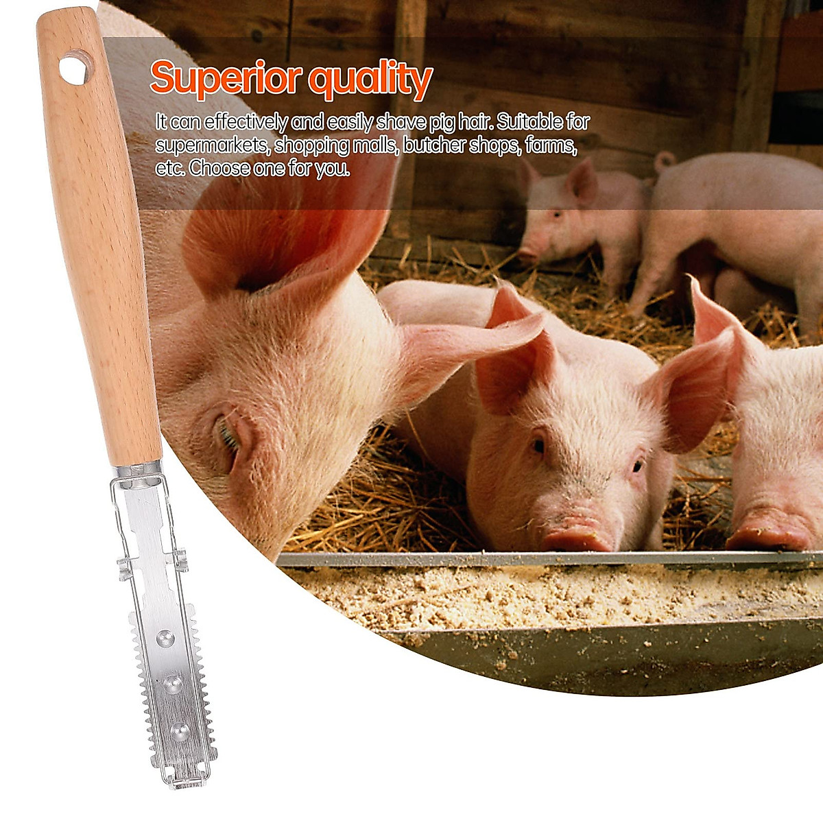 Hemoton Pig Hair Scraping Device Lame Razor Pig Hair Scraper Pork : Pig Hair Shaving Stainless Steel Meat Hair Scraper Wood Handle Blade Meat Hair Gadget Tool Meat Hair Remover