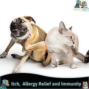 ImmunoPet - Itchy Skin Relief for Dogs and Cats - Hot Spot Relief - Pet Allergy Support -Cat and Dog Skin and Coat Supplement - Pet Immunity Support - 60 Caps