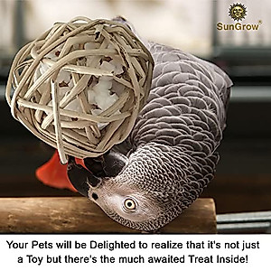 SunGrow Popcorn Ball for Birds, Willow Wicker Vine Rattan Ball, Cage Accessory Hang with String or Wire