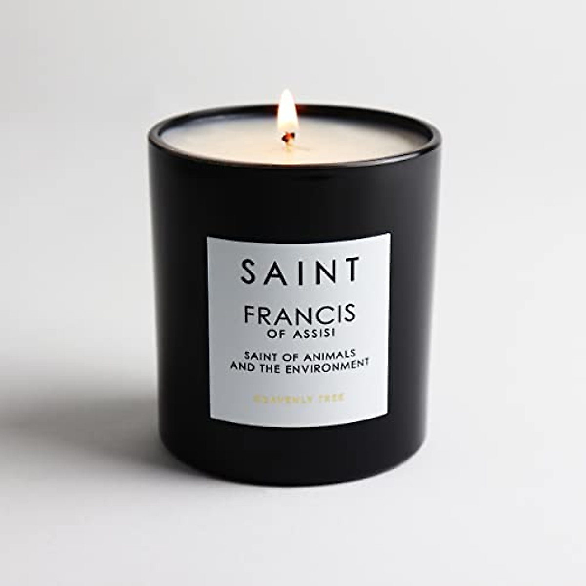 SAINT Francis of Assisi Scented Candle with Prayer, Prayer Coin, and Holy Oil, Saint of Animals, Soy Coconut Aromatherapy Candle with 50 Hour Burn Time