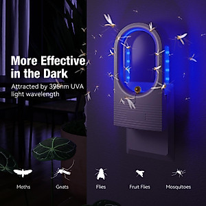 Fruit Fly Traps for Indoors, Plug in Fly Trap Indoor Bug Catcher with Double Sided Glue Card, Flying Insect Trap Gnat Traps for Mosquito, Flies, Fruit Flies, Moths, Gnats (1 Device + 5 Refills)