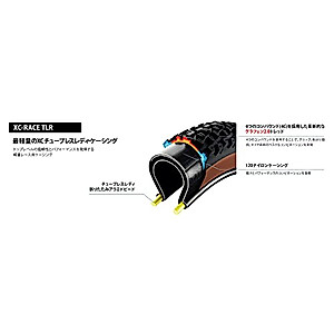 Vittoria Barzo G2.0, Trans/blk/blk, 29x2.1