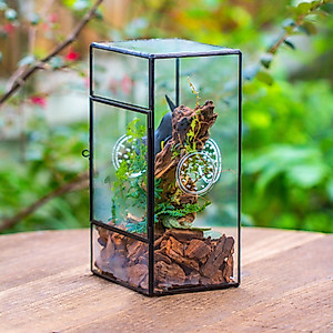 NCYP Small Glass Terrarium with 3 Vent Holes for Large Jumping Spider - 5.1" x 3.9" x 9" - Front Opening Door Insects Enclosure Habitat, Rectangle Black - Holes Diameter 0.12" (Terrarium Only)