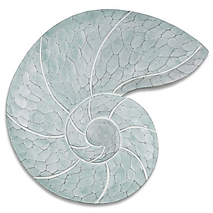 T.I. Design Hand-Carved Coastal Seafoam Nautilus Shell Beach Wall Decor