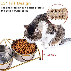 Trosetry Raised Cat Bowls, Double Stainless Steel Cat Food Bowls Non-Slip Elevated Pet Feeder with 15°Tilted Neck Protective Bowl for Puppy Cats and Small Dogs Food and Water Feeding