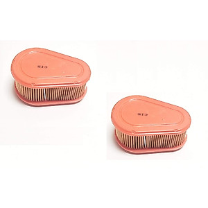 2 Air Filters Compatible With Briggs & Stratton A/C Cartridge Filter 792038, 790388, 790388B