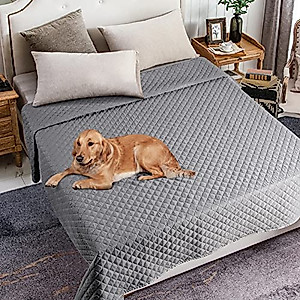 TAOCOCO Waterproof Couch Blanket Dog Bed Cover Couch Cover Pet Blanket for Couch Sofa Chaise Bed, Reversible Sectional Sofa Slipcovers Furniture Protector for Pets Kids (Light Gray, 52x82 Inches)